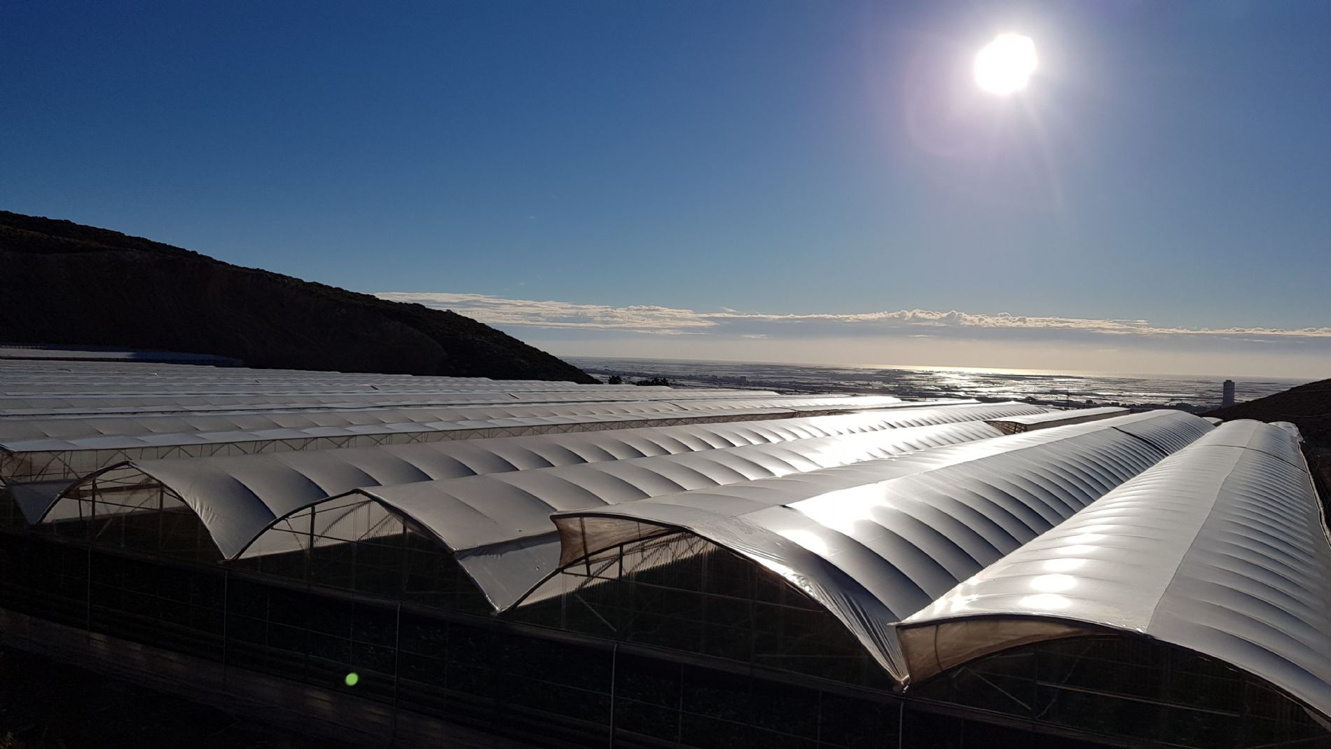 Invernaderos almerienses, a la vanguardia en innovación