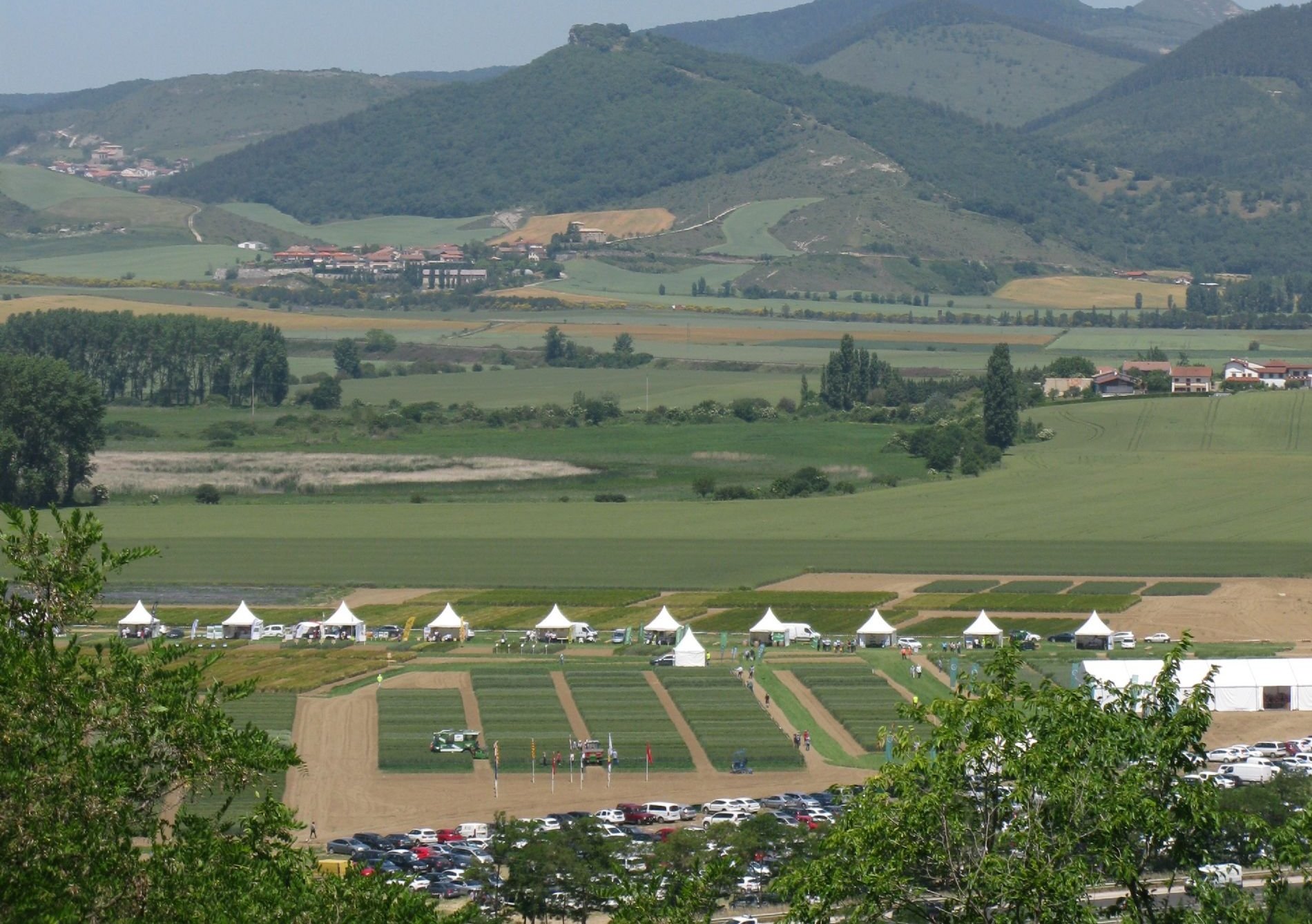 Éxito en las V Jornadas de GENVCE