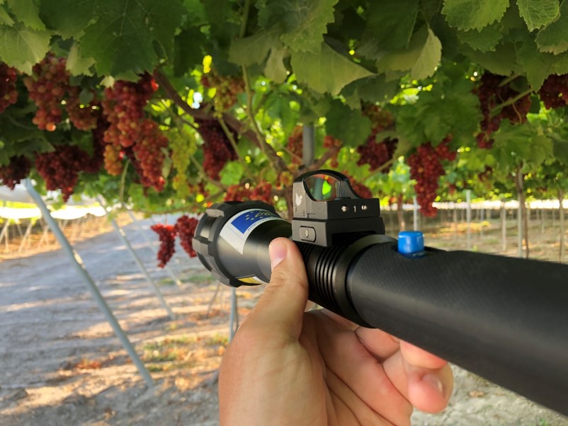 El innovador proyecto LIFE Laser Fence muestra un futuro sin rodenticidas