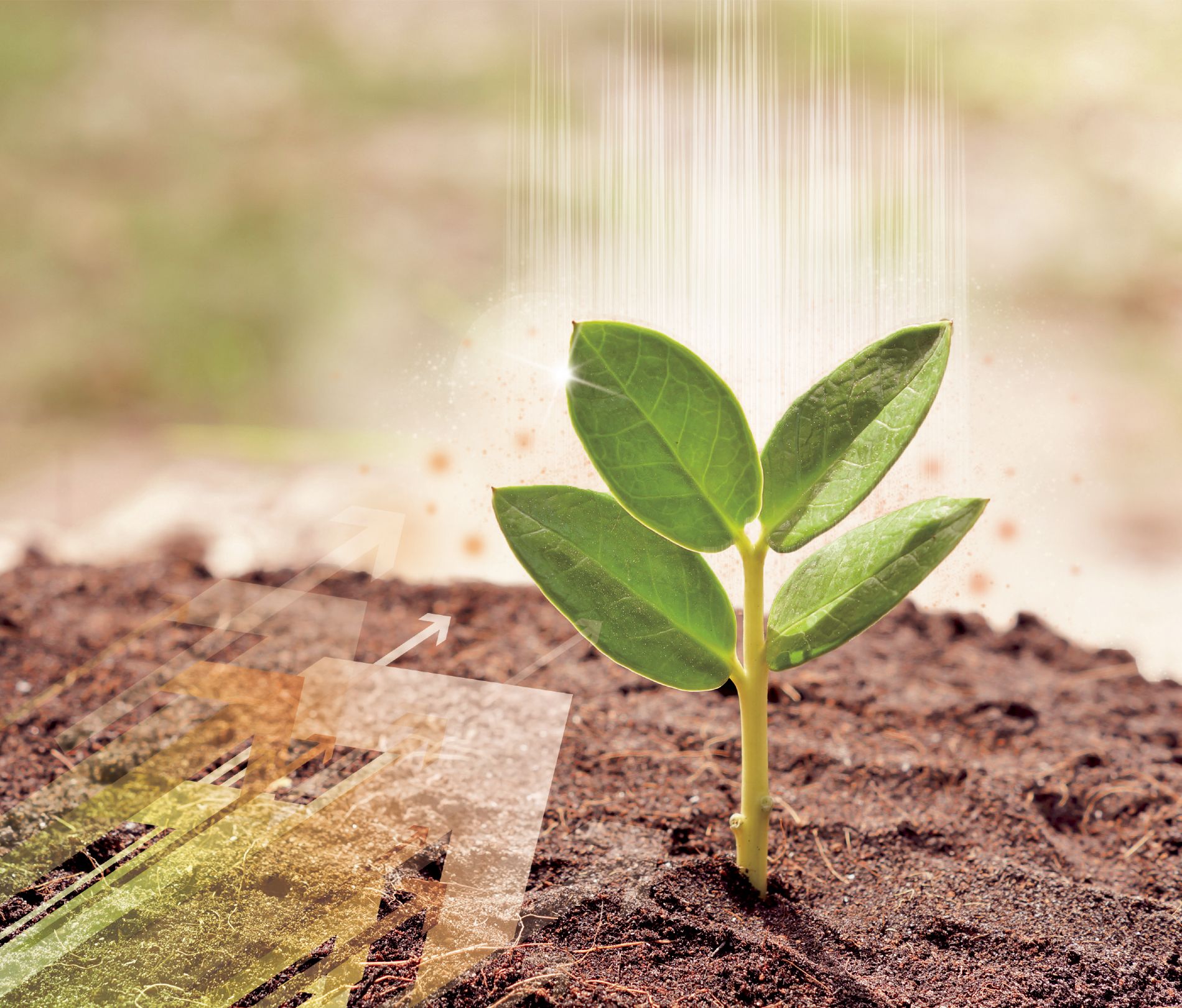 Braveria Protein® mejora la rentabilidad de tus cultivos