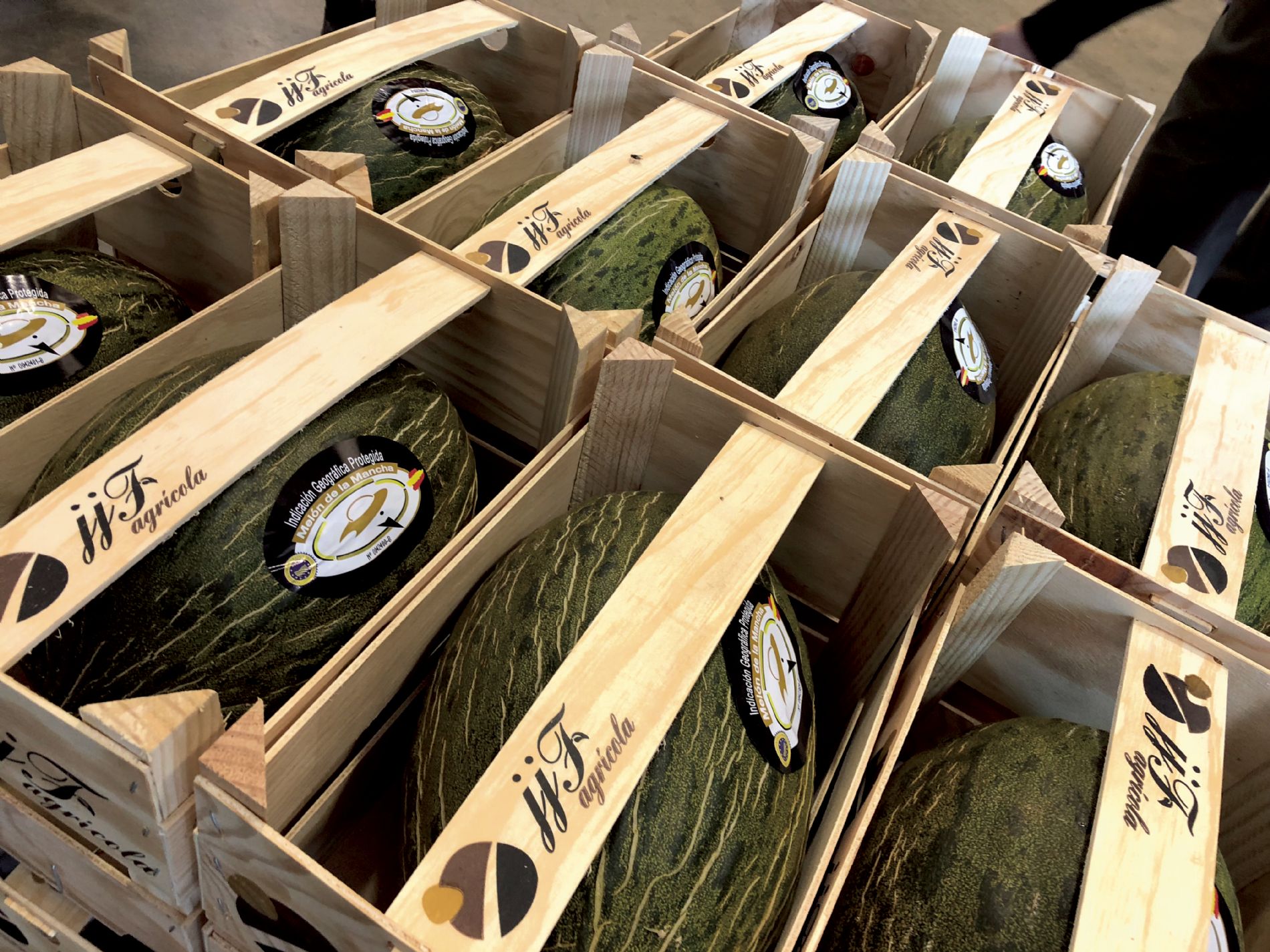 Melón de La Mancha: el desafío de apostar por una calidad diferenciada