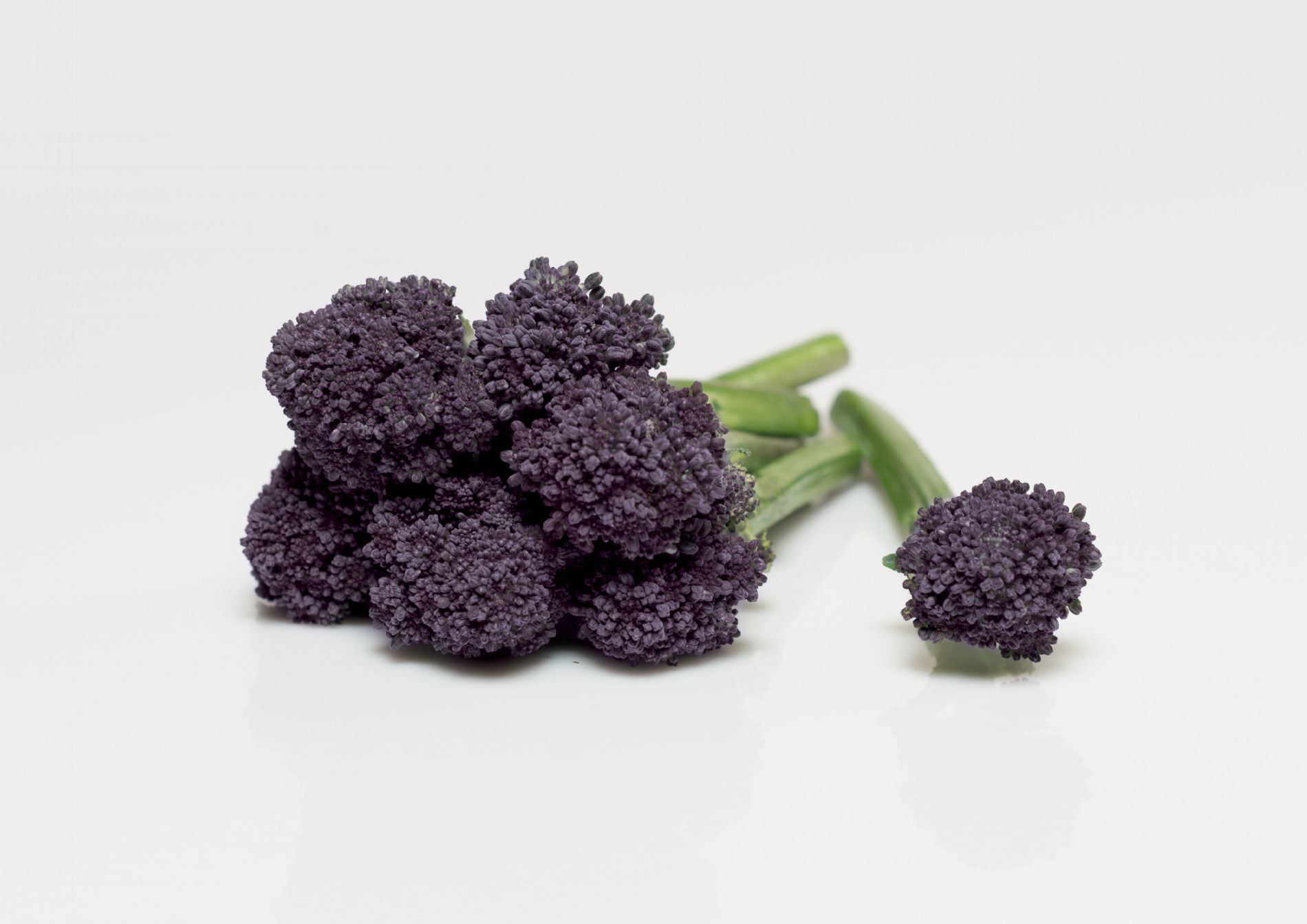 REDI, los brotes de brócoli morados de Bejo, premiados en Fruit Attraction